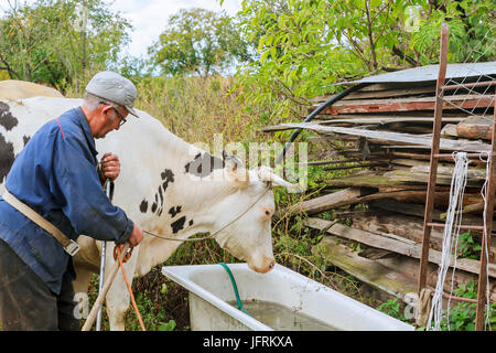 A man grazing his cattle in Western Uganda Africa Stock Photo - Alamy