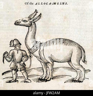 The History of Four-Footed Beasts and Serpents 1658 Stock Photo - Alamy