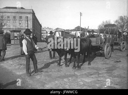 Charrette aux bœfs en Porto (Ch.-Fl. 111-1648 Stock Photo - Alamy