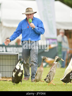 © Sandy young Photography 07970 268944 29th Scottish Game Fair E ...