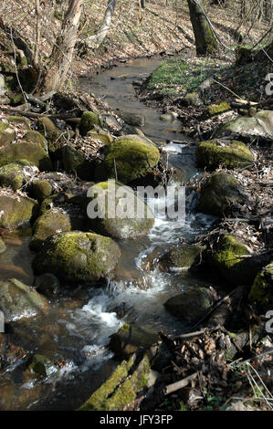 Landscape of forest with winding streamlet Stock Photo - Alamy