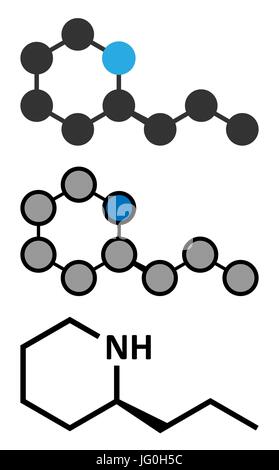 Skeletal formula of Coniine. chemical molecule Stock Vector Image & Art ...