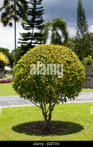 Park with shrubs and green lawns, landscape design Stock Photo - Alamy
