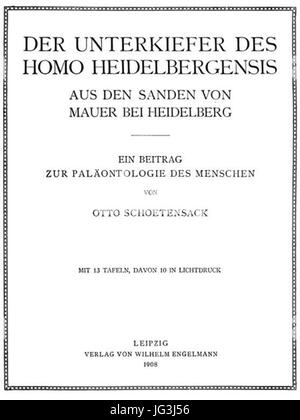 Homo heidelbergensis. This species of early human was first discovered ...