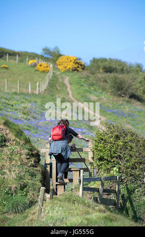 walking stile rambler path Stock Photo - Alamy
