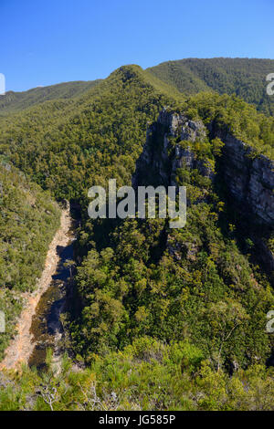 Forest trail to lookout point, Alum Cliffs State Reserve, Northern ...