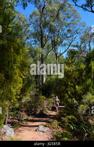 Alum Cliffs - Tasmania Stock Photo - Alamy