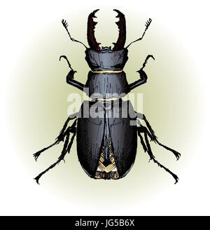 illustration of stag-beetle Stock Vector Image & Art - Alamy