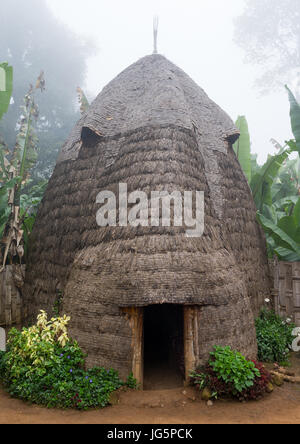 Traditional Dorze house made of bamboo and enset leaves, Gamo Gofa Zone ...