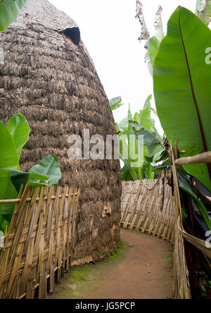 Traditional Dorze house made of bamboo and enset leaves, Gamo Gofa Zone ...