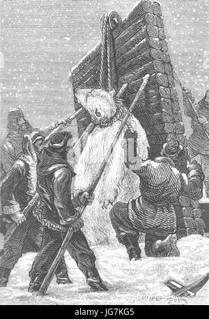 'The Fur Country' by Férat and Beaurepaire is an illustration depicting ...