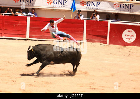 Bull Ring Acrobatics Stock Photo - Alamy