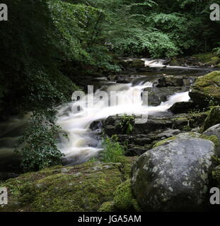Moness burn near Aberfeldy Scotland June 2017 Stock Photo - Alamy