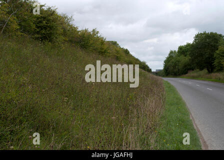Sloping grass verge on embankment next to a road Stock Photo - Alamy