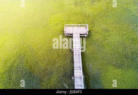 Wooden bridge over a swamp aerial view Stock Photo - Alamy