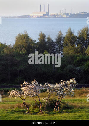 Ballylumford Power Station Stock Photo - Alamy