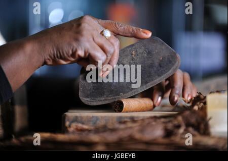 A black woman rolling cuban style cigars in a traditional, old ...