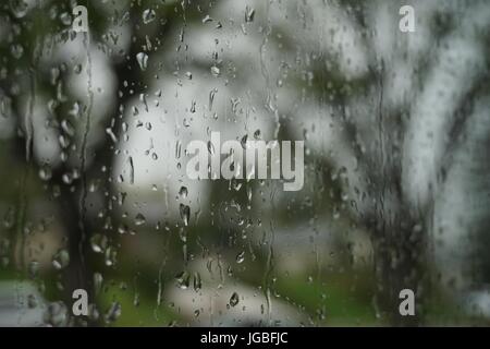 trees window pane background rain drop unclear meadow storm ...