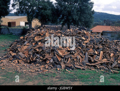 Calangianus, Sardinia. Cork working Stock Photo - Alamy