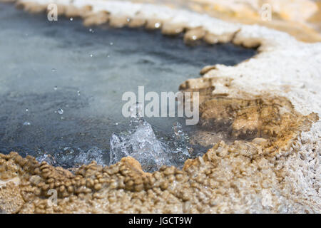 Ear Spring in the Upper Geyser Basin is named for its shape. It often ...