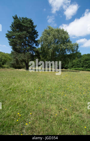Yateley Common Country Park, Hampshire, England UK Stock Photo - Alamy