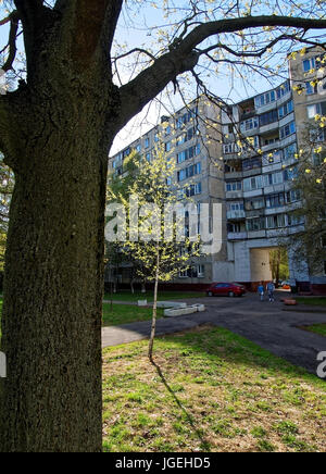 the trees near the house in Moscow in the spring Stock Photo - Alamy