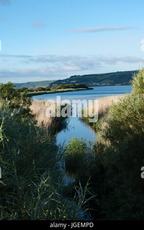 slapton sands devon slapton ley wetlands Stock Photo - Alamy