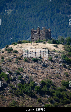 Fortin de Pasciola Stock Photo - Alamy