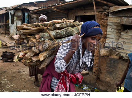 Woman carrying a heavy bundle of firewood on her head walking on a ...