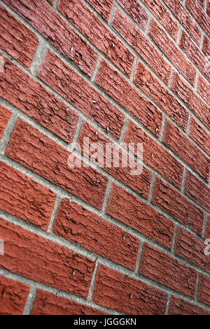 Winged ants crawling up a red brick wall Stock Photo - Alamy
