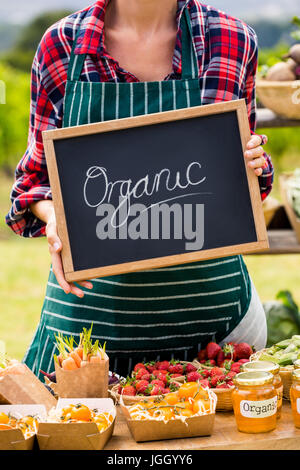 Midsection of female owner gesturing while standing at workshop Stock ...