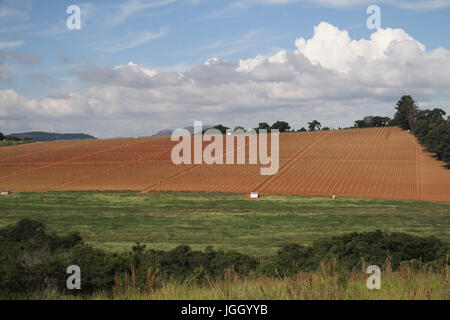 Land prepared, planting, Highway, 2016, Minas Gerais, Brazil Stock ...