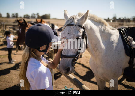 Girl caressing the white horse in the ranch Stock Photo - Alamy
