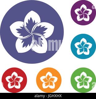 Frangipani Flower Icon. Flat Circle Stencil Design With Long Shadow ...