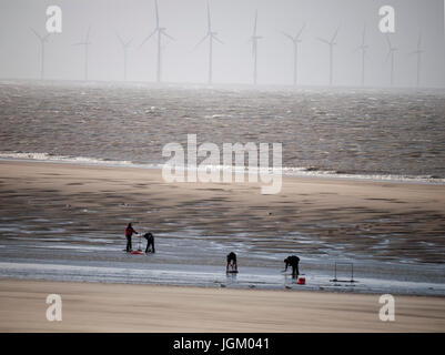 Cockle fishermen dig for cockles on the beach at New Brighton, Wirral ...