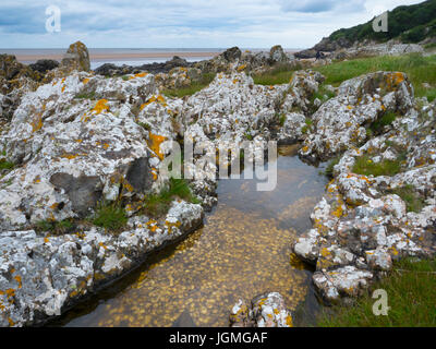 Rockcliffe Beach, Colvend, Solway Firth, Galloway Stock Photo - Alamy