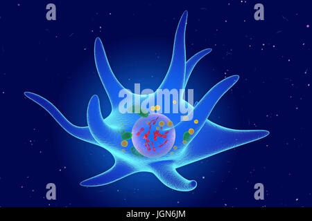 Illustration of a Langerhans cell from the skin. This cell is part of ...