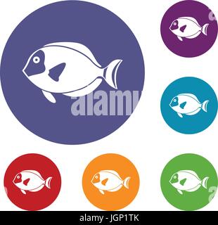 Blue surgeon fish icon, flat style Stock Vector Image & Art - Alamy