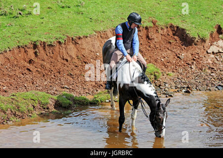 Border Reivers Anglo Scottish borders 16th century historical re ...