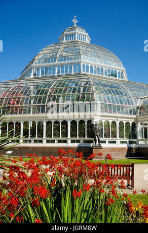 Sefton Park Palm House The Grade II listed Victorian glasshouse is set ...
