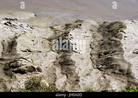 Silt deposits in River Gwendraeth. Kidwelly (Cydweli), Carmarthenshire ...