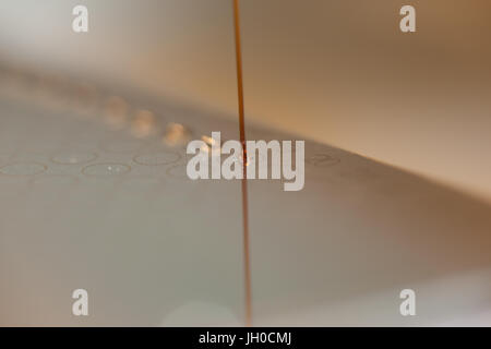 Pipetting of MALDI-TOF target in laboratory, mass-spectrometry Stock ...