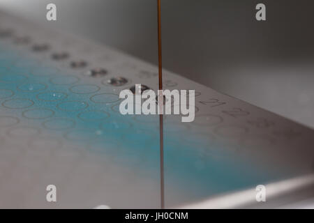 Pipetting of MALDI-TOF target in laboratory, mass-spectrometry Stock ...