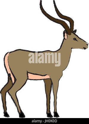 portrait of a standing impala africa mammal wild Stock Vector Image ...