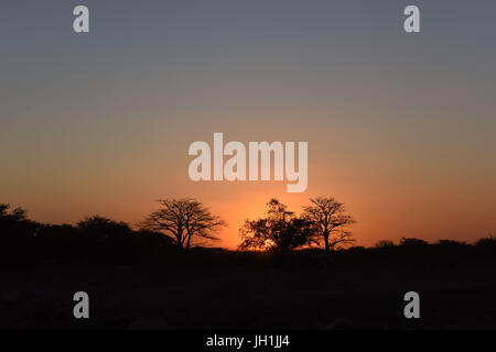 Sunset, 2017, Caatinga, Boa Vista, Paraíba, Brazil Stock Photo - Alamy