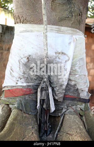 Voodoo sacred tree. Togoville, Togo Stock Photo - Alamy