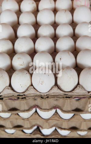 Lomé Food Market - Togo - West Africa Stock Photo - Alamy