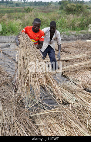 Brick factory financed by a loan from ENCOT microfinance, Uganda ...