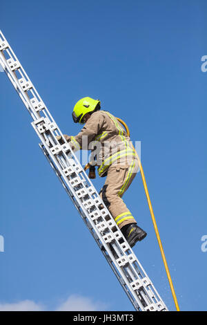 firefighters using ground ladders to access fires Stock Photo - Alamy