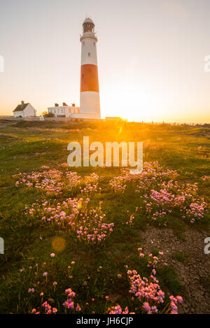 Sunrise on a spring morning: daybreak, morning dawn and the light of ...